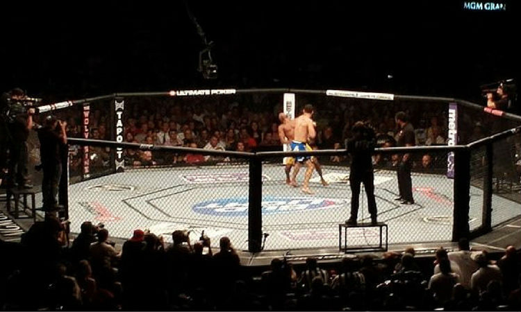 5 cosas que tal vez no sabías de la UFC – DeportesOk